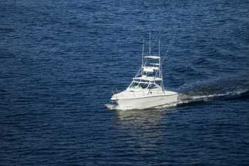 #1 Fishing Charters Company in Western Australia - WA Fishing